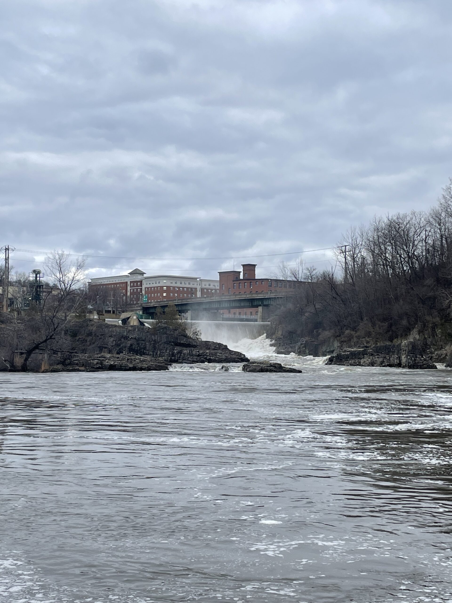 Hints of Winter and Rising Water – Finn Murphy's (epic)Phenology Blog
