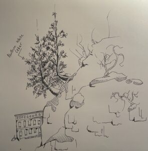 Phenology Sit Sketch – Finn Murphy's (epic)Phenology Blog