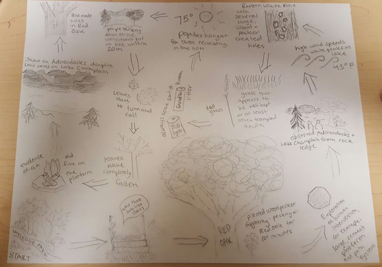 Event Map, More Changes, More Photos | My Place – Phenology Assignment