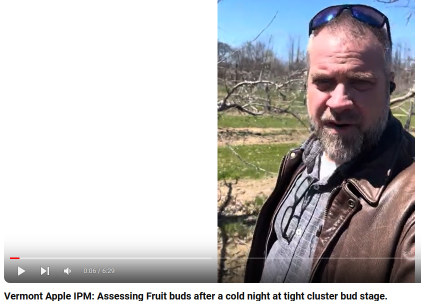 UVM Fruit Blog – Information for Commercial Tree Fruit and Grape Growers in Vermont and Beyond