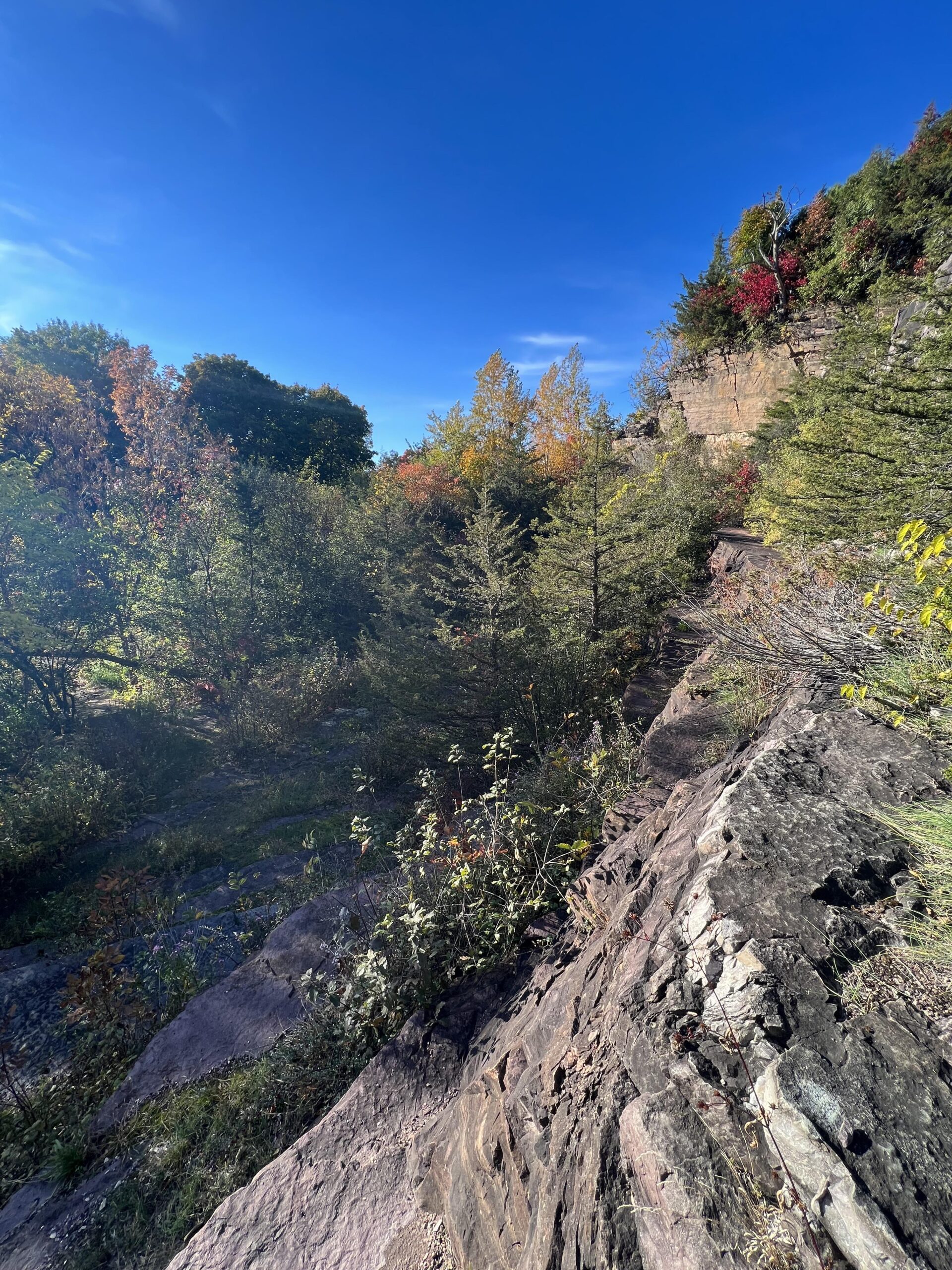 Redstone Quarry – Phenology Assignment Blog – Page 2 – A UVM blog