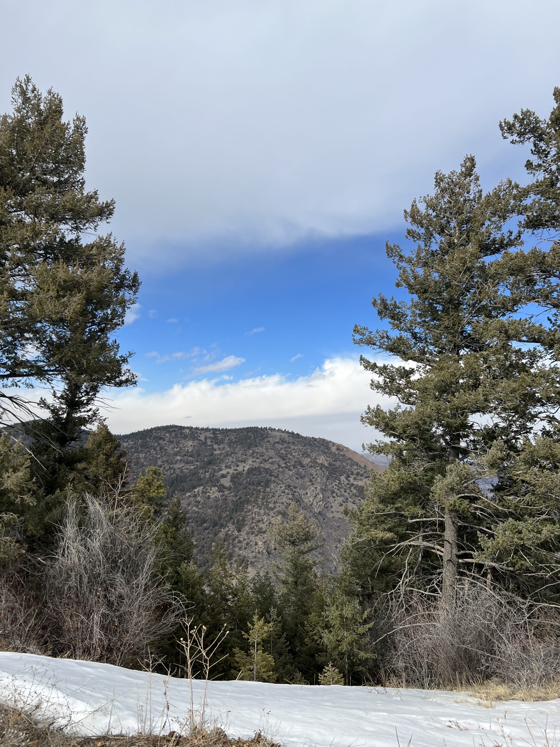 Redstone Quarry – Phenology Assignment Blog – A UVM blog