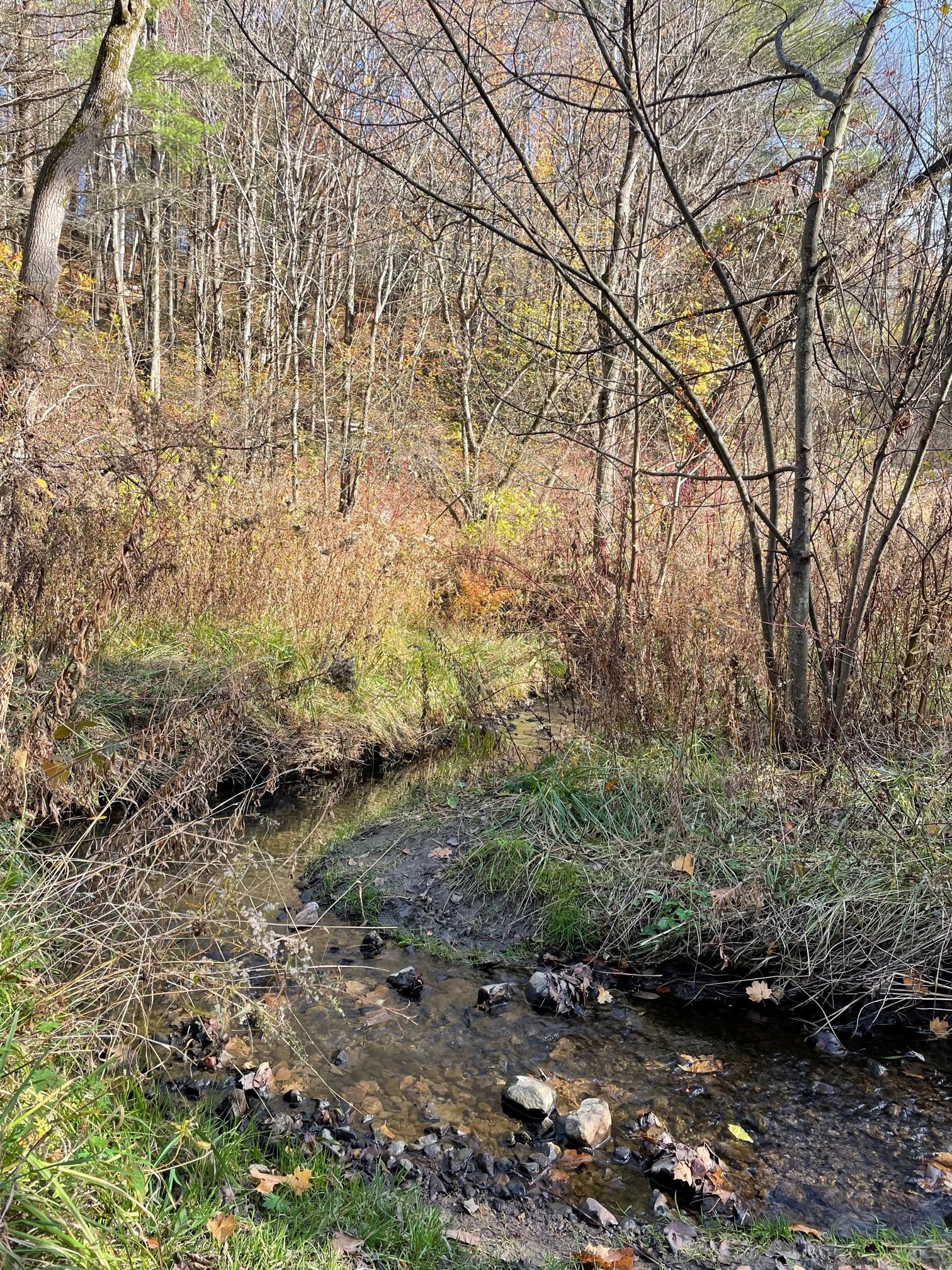 November 2, 2022 « NR Phenology Project