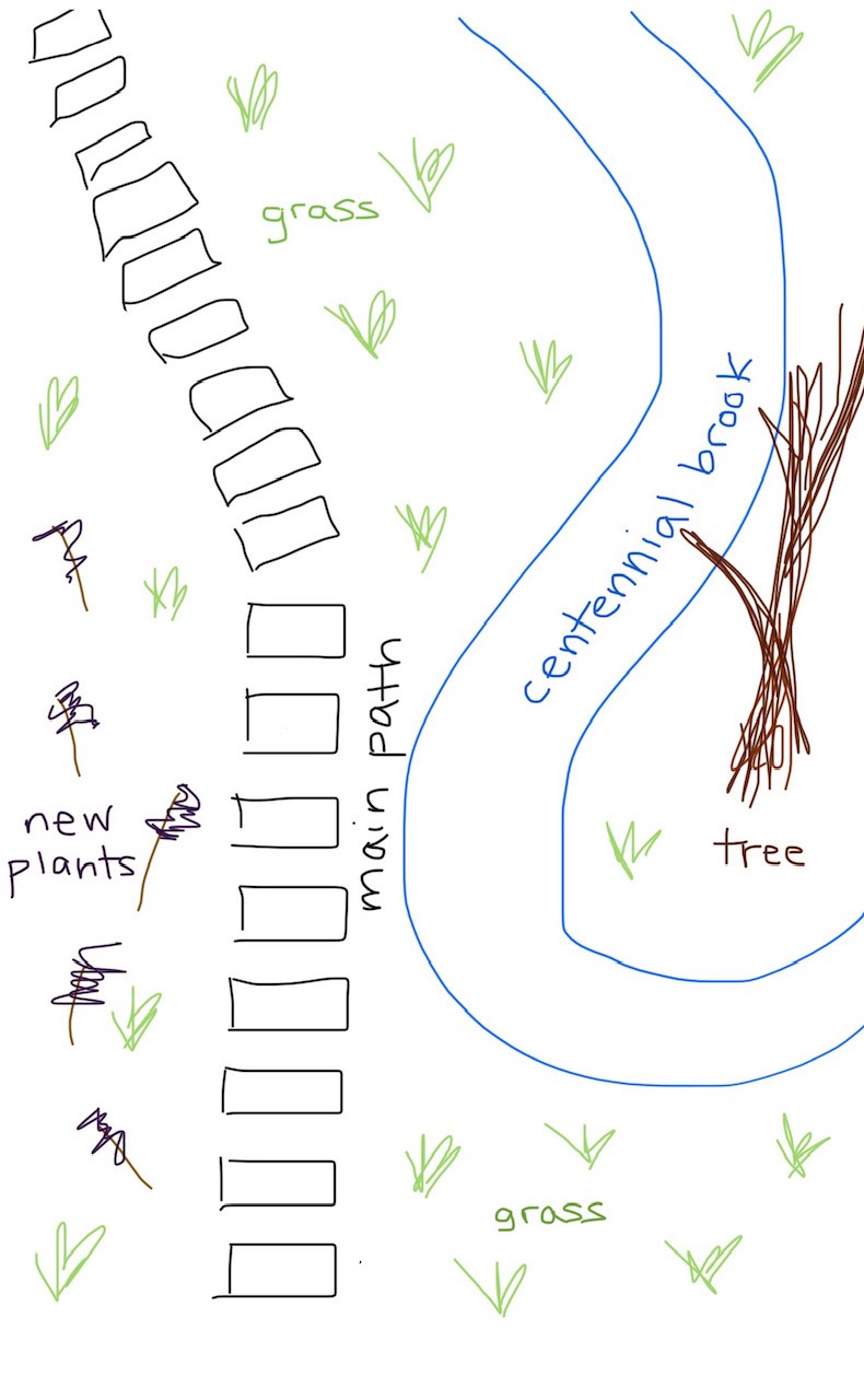 NR Phenology Project