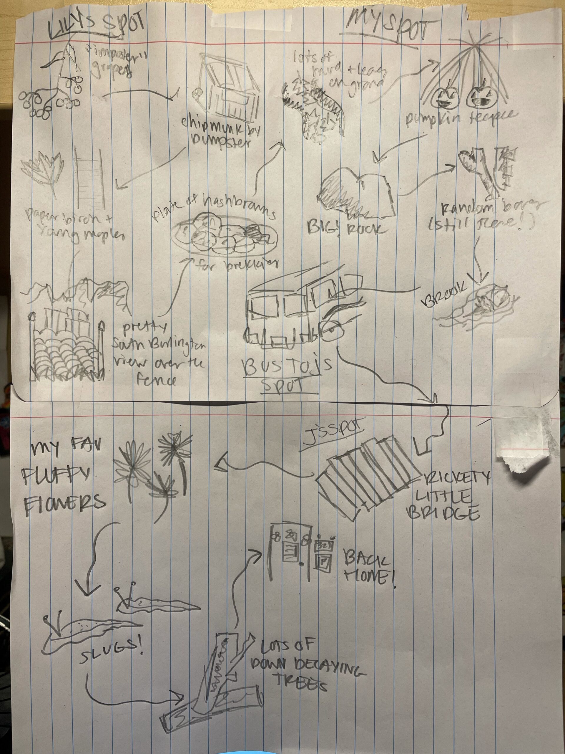Centennial Brook Phenology Project | A UVM blog