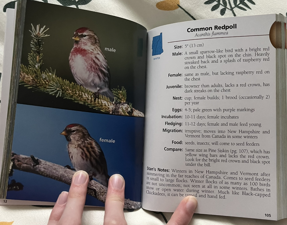 Isabella’s NR1 Phenology Project – A UVM blog