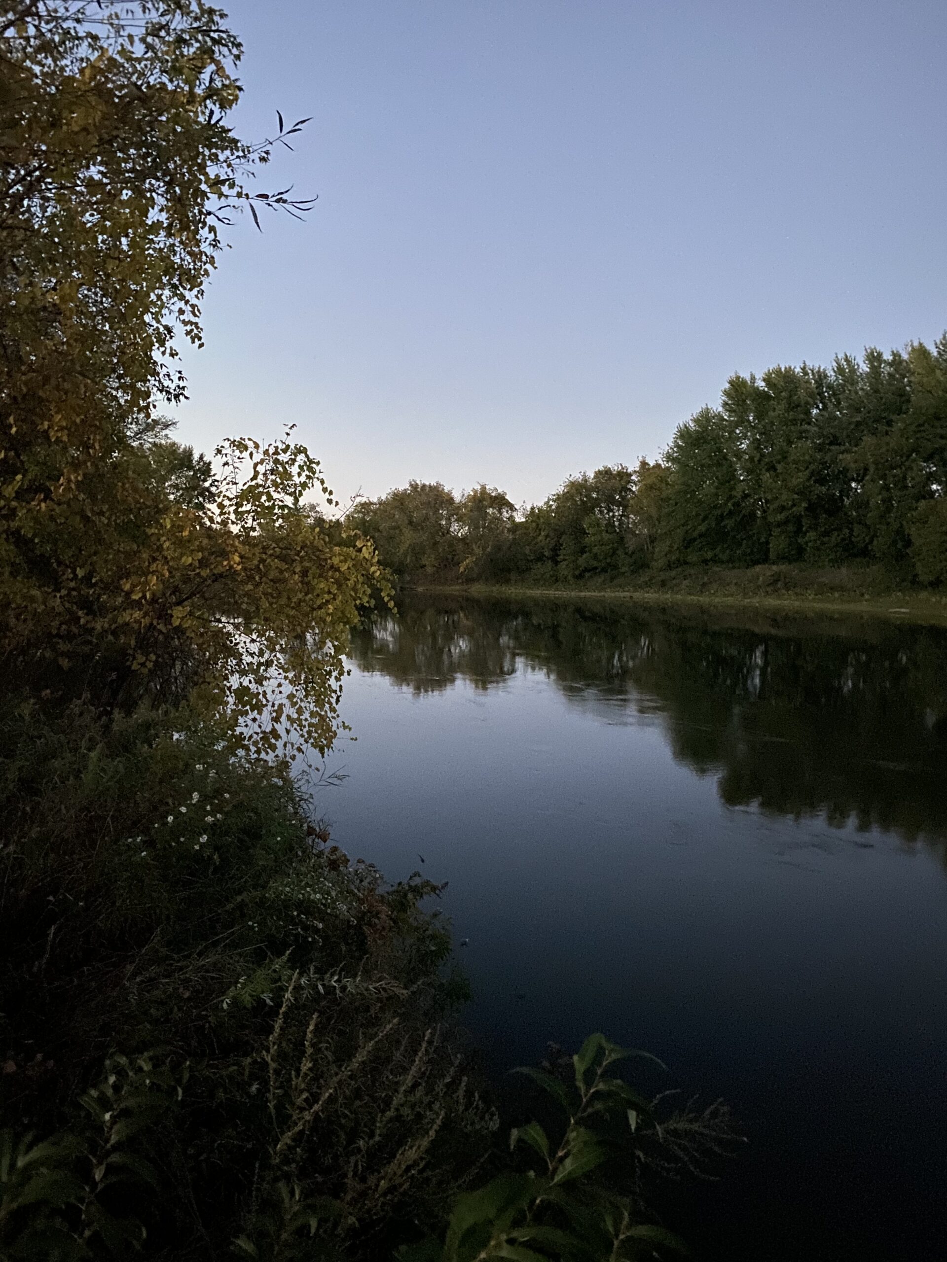 10/11/20 – First Visit, Twilight – McKenzie Park Riverside Phenology