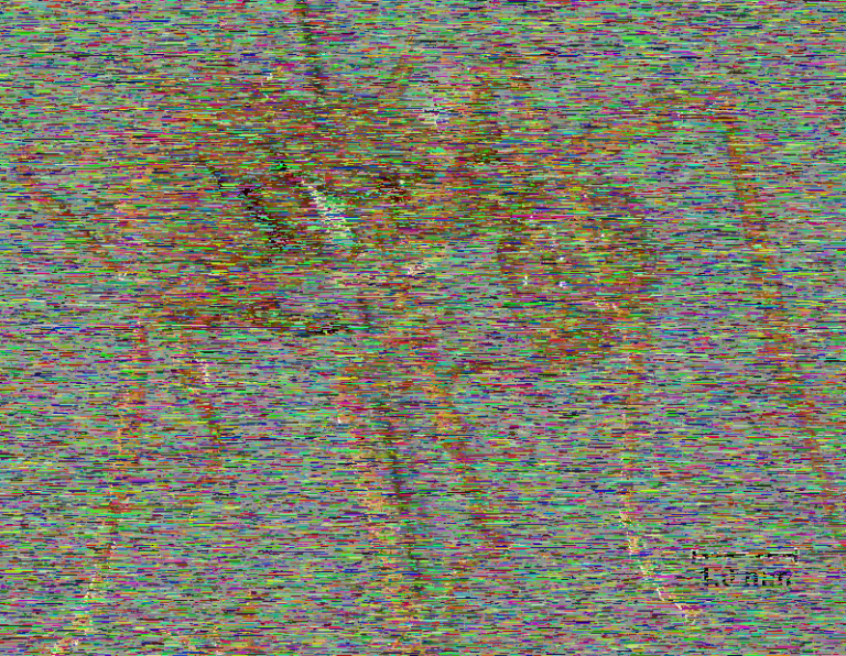 Intermedia » Processing Glitch Art