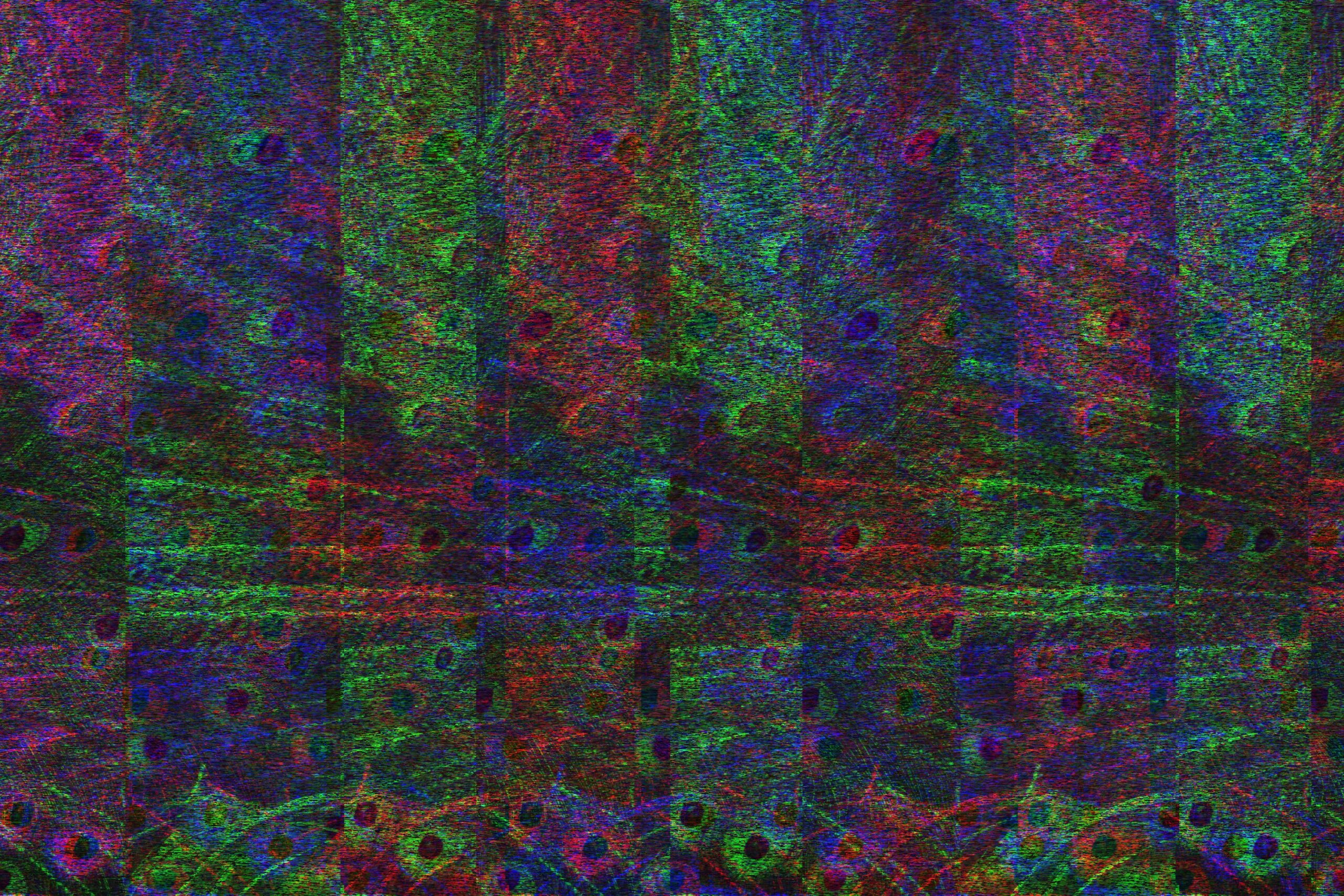 Intermedia » Glitch art animals