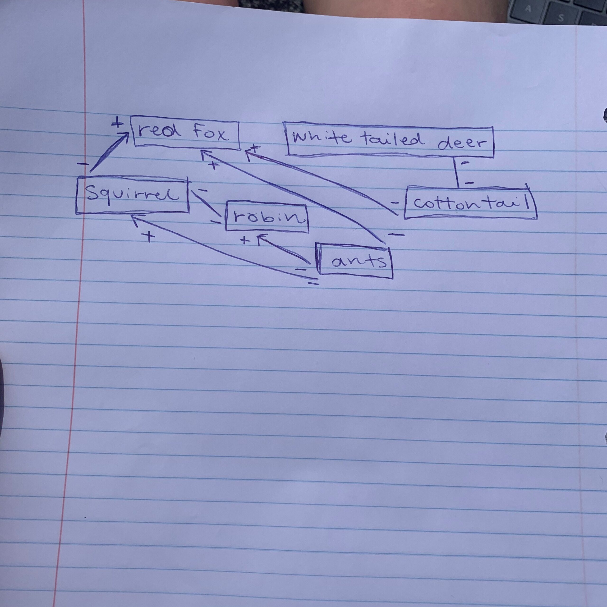 Phenology spot 2022- Behind WDW – A UVM blog