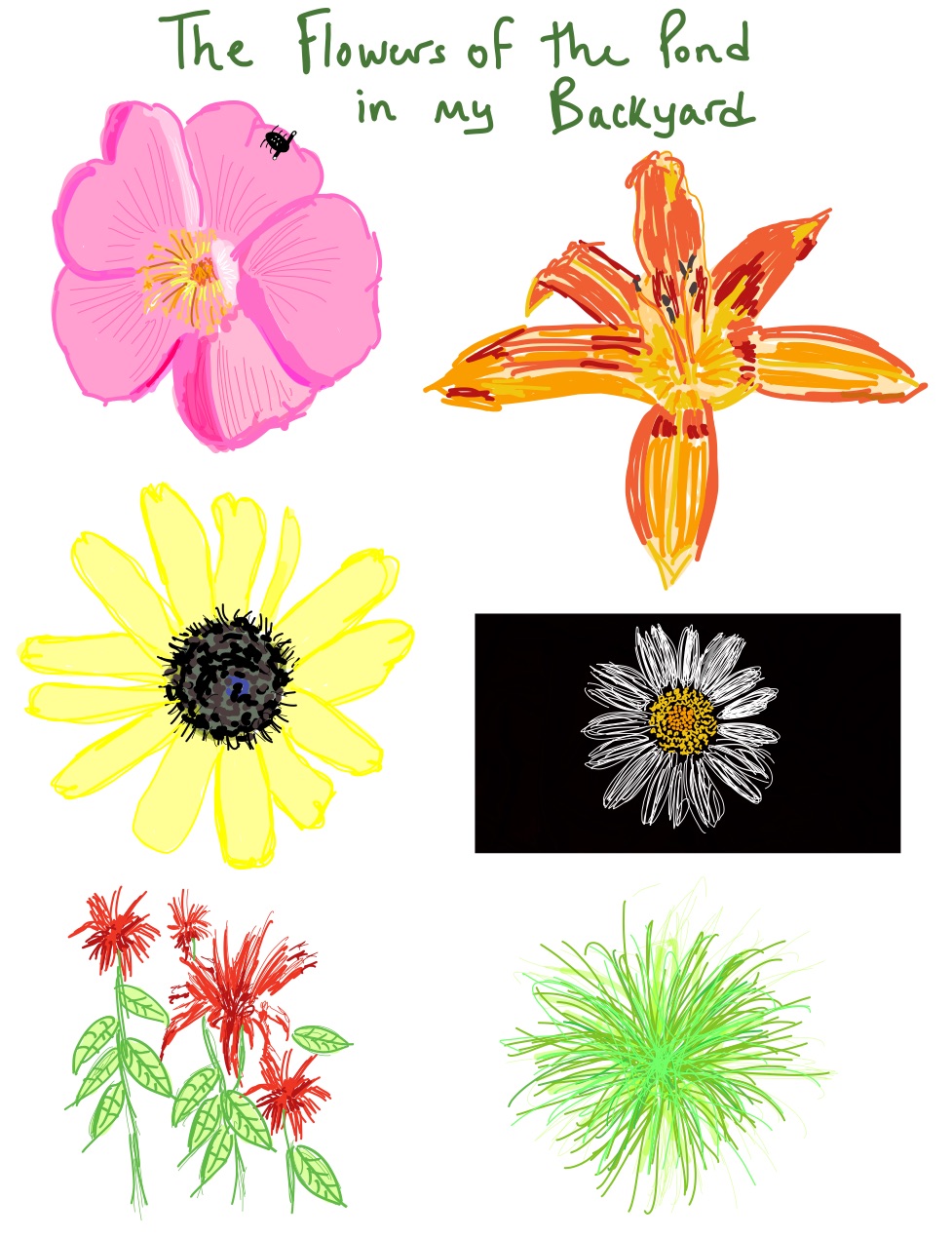 NR009 blog Kate – A UVM blog