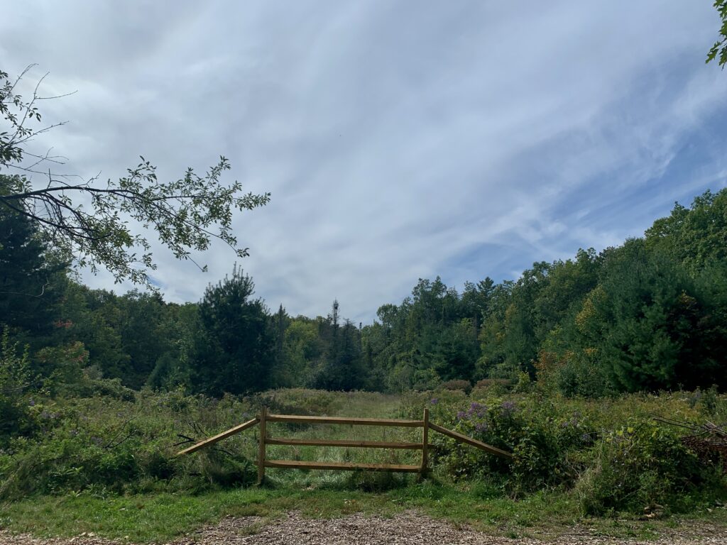 Photo Dump – Fall Semester 2021 « Phenology Blog