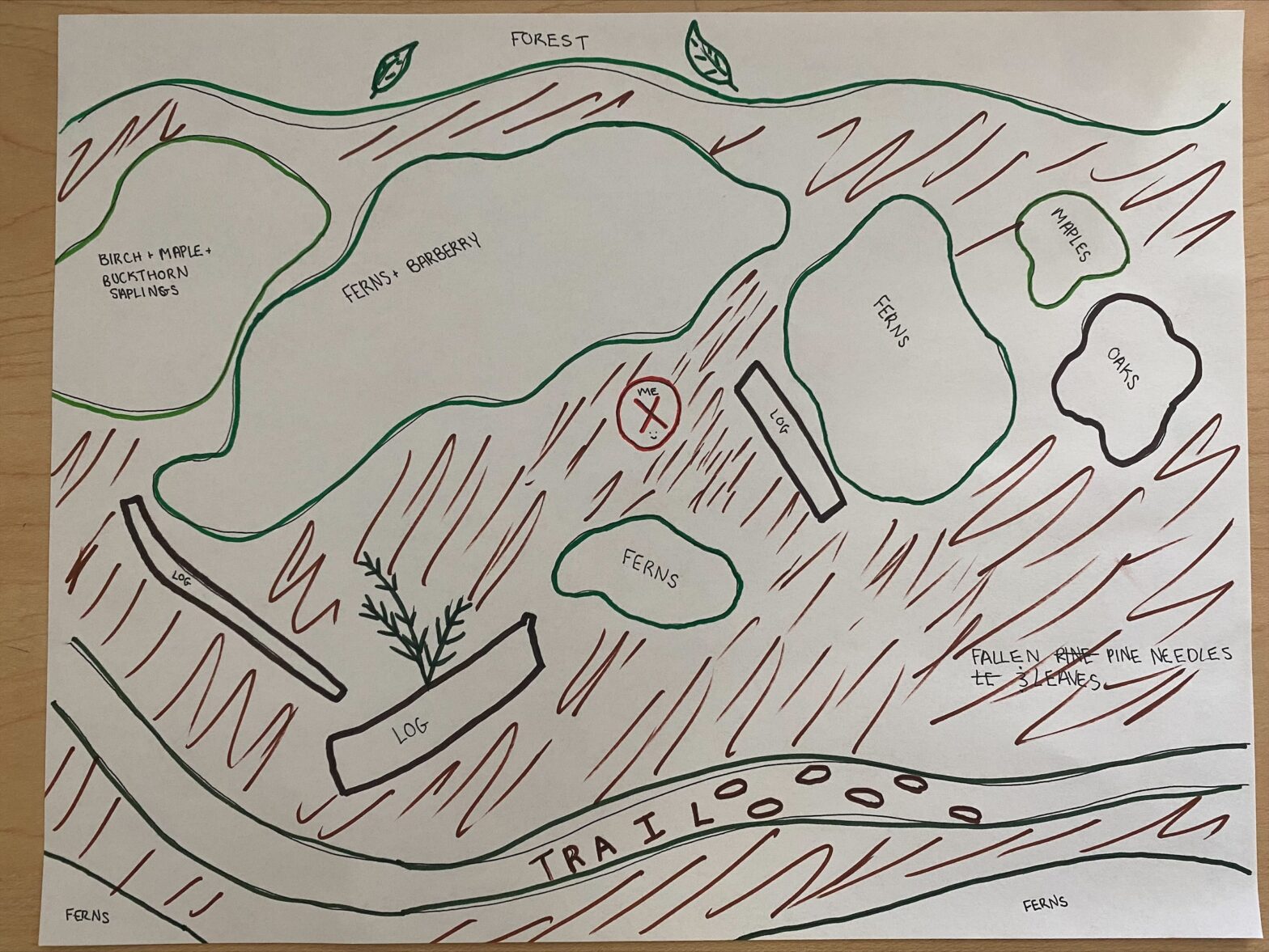 Phenology Blog - Phenology Project Post 2