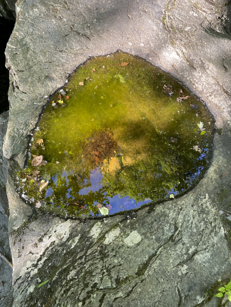 Wonder Blog – A UVM blog