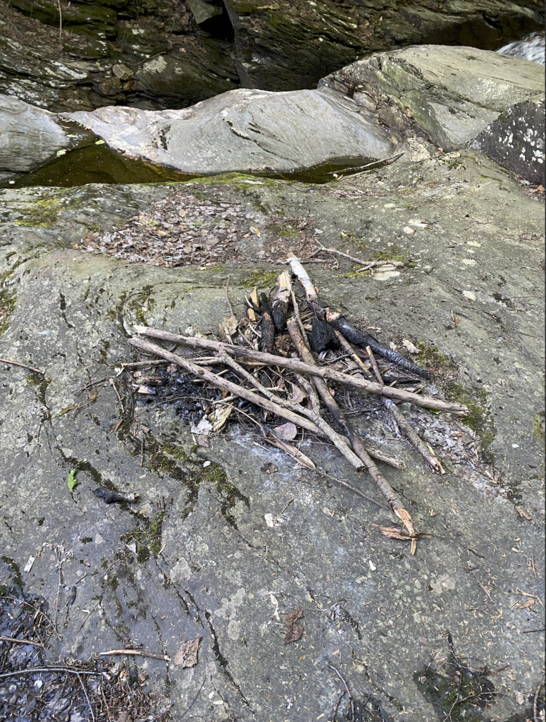 Wonder Blog – A UVM blog