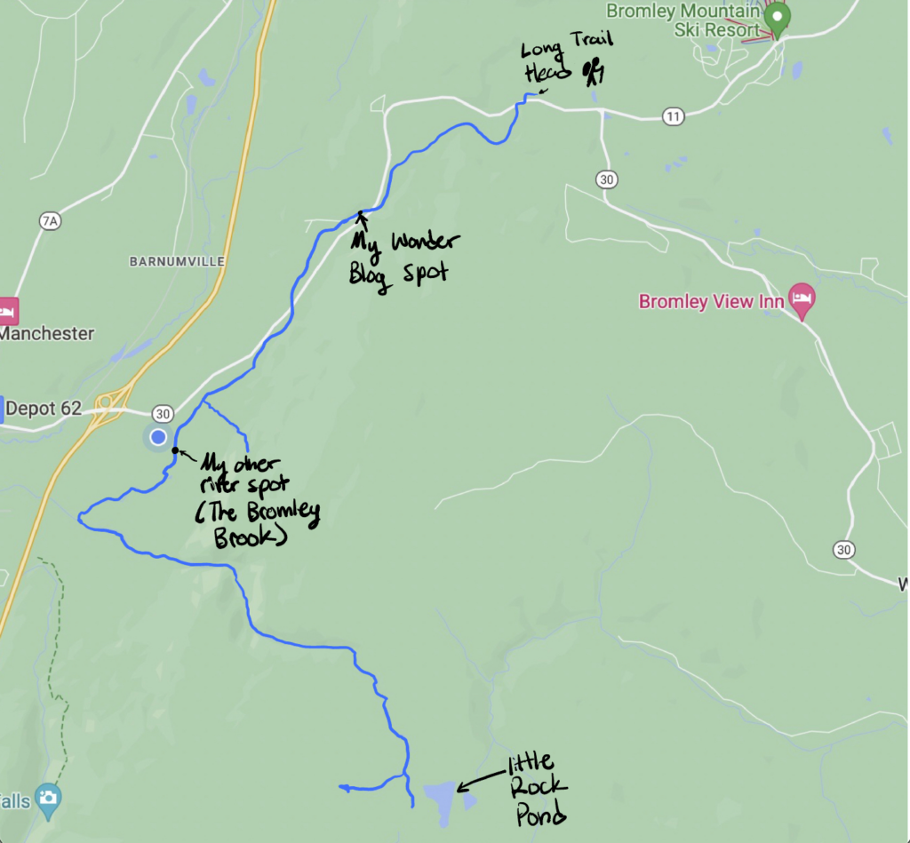 Wonder Blog – A UVM blog