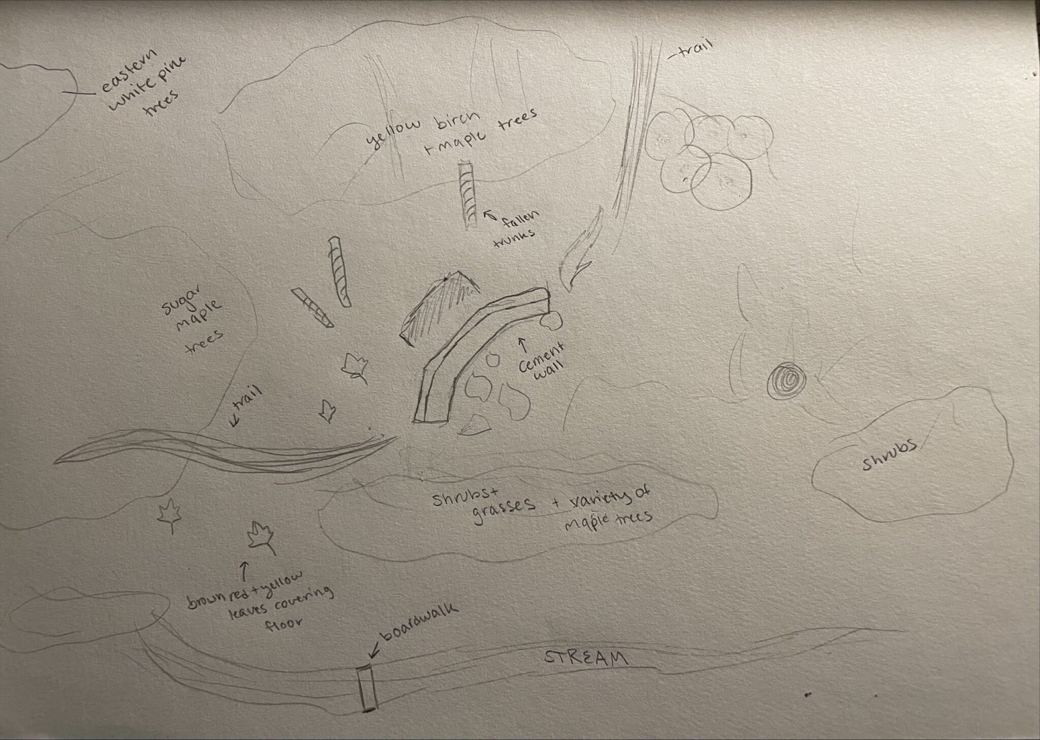 Birds Eye Map and Reflection | Andy's Phenology Blog