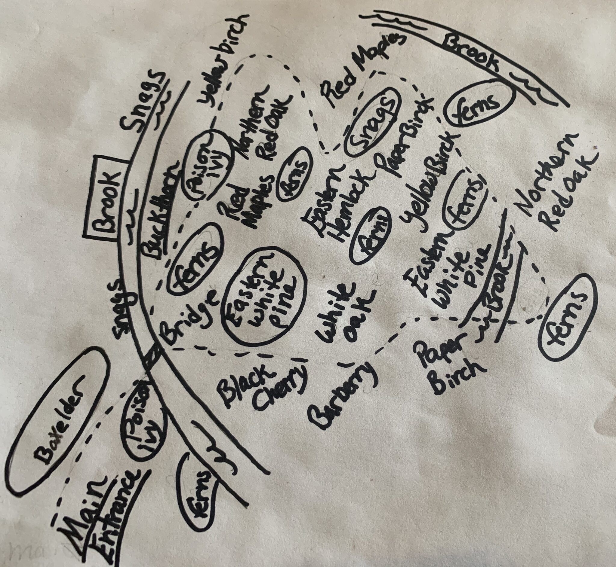 Birds-Eye Map | Centennial's Phenology