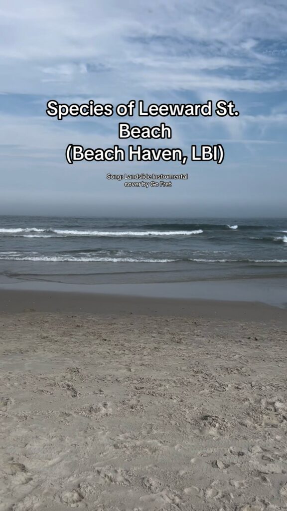 July | 2024 | Wonder Blog Assignment #1