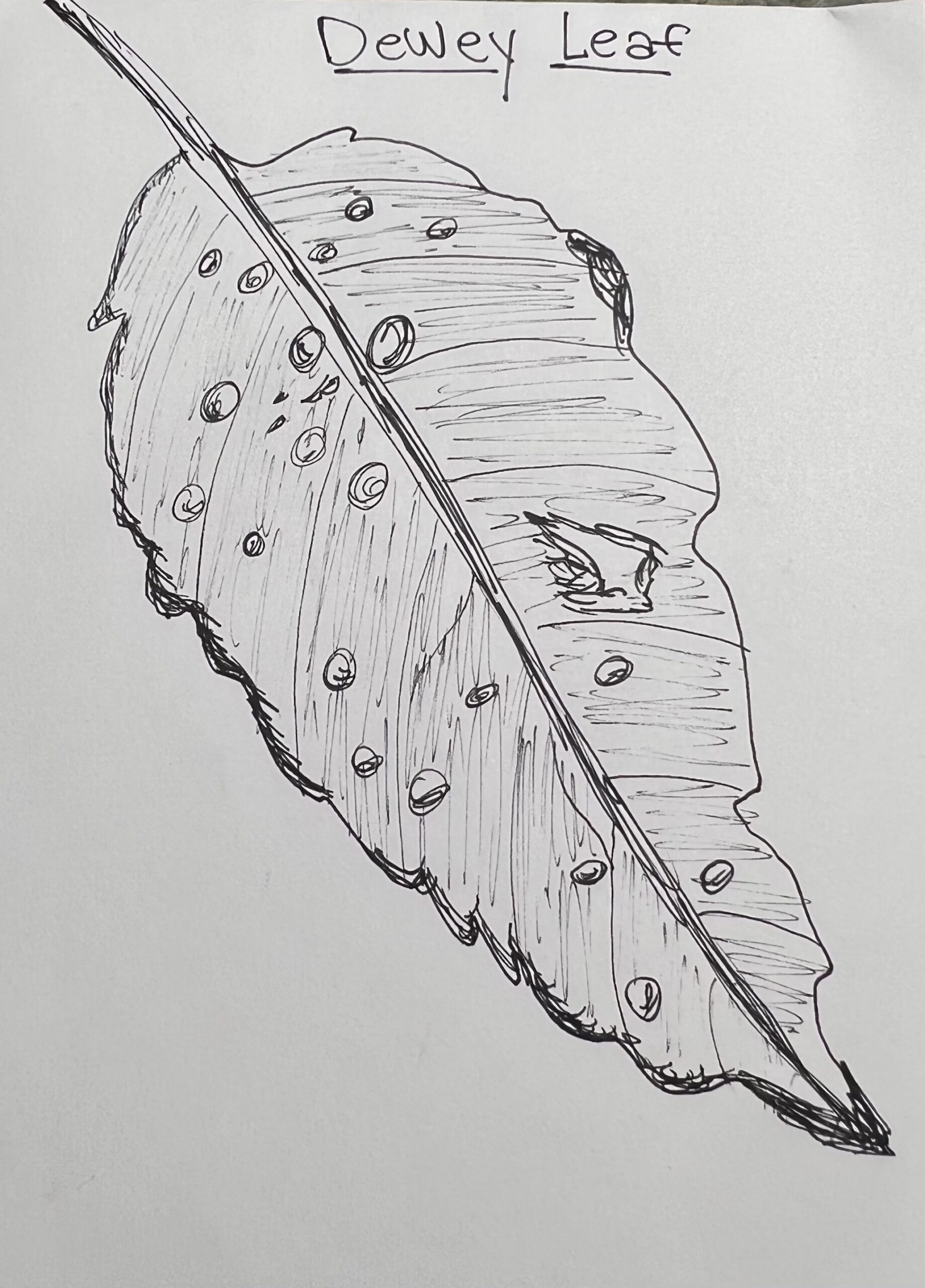 Entry #2 Gedney Park – Wonderblog Nr009