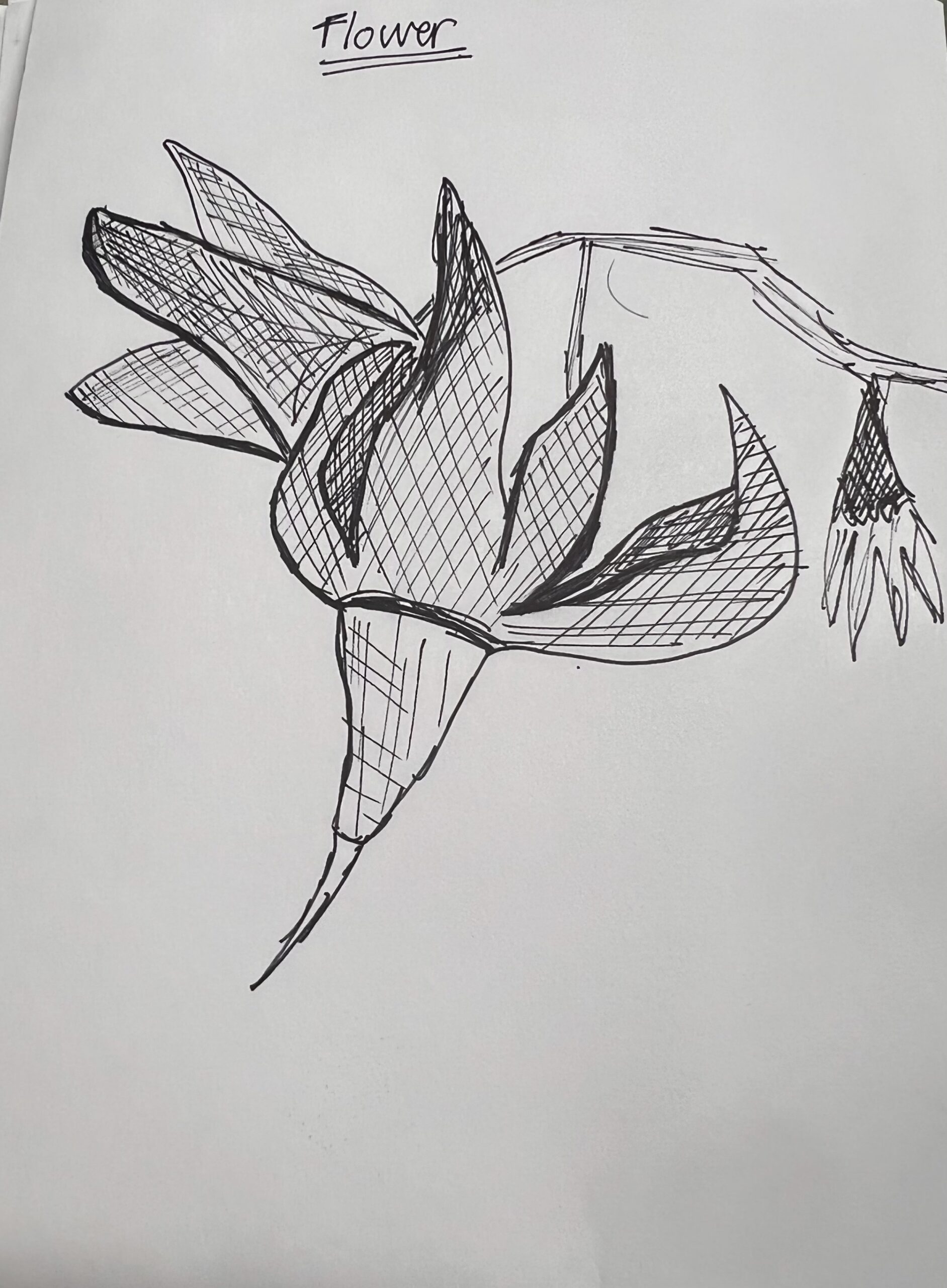 Entry #2 Gedney Park – Wonderblog Nr009