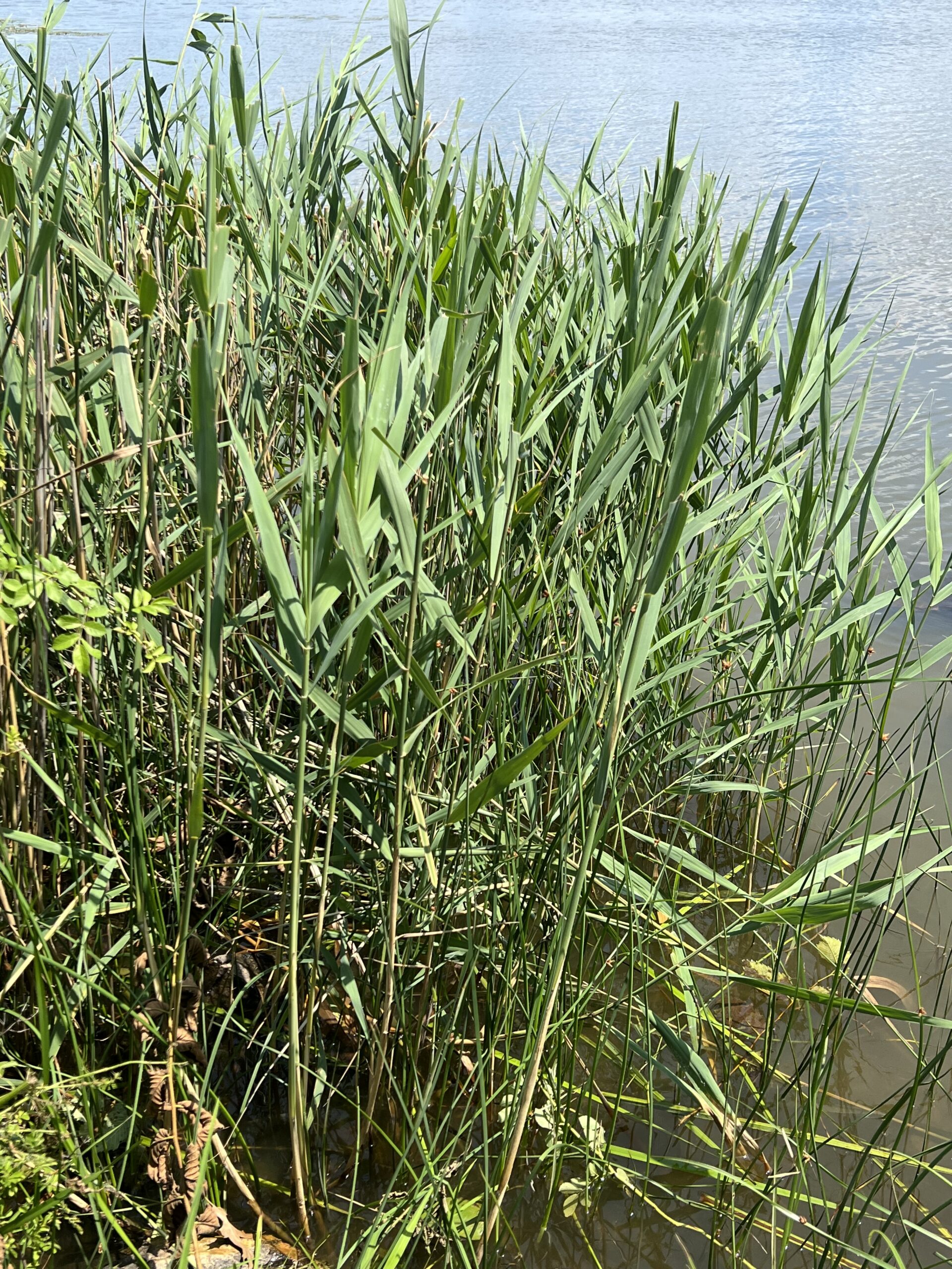 Wonder Journal | A UVM blog