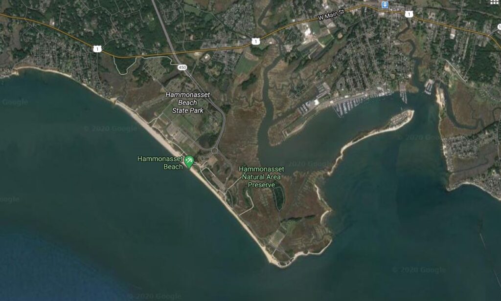 Hammonasset State Park – Helen Carlson Wildlife Sanctuary Phenology Blog