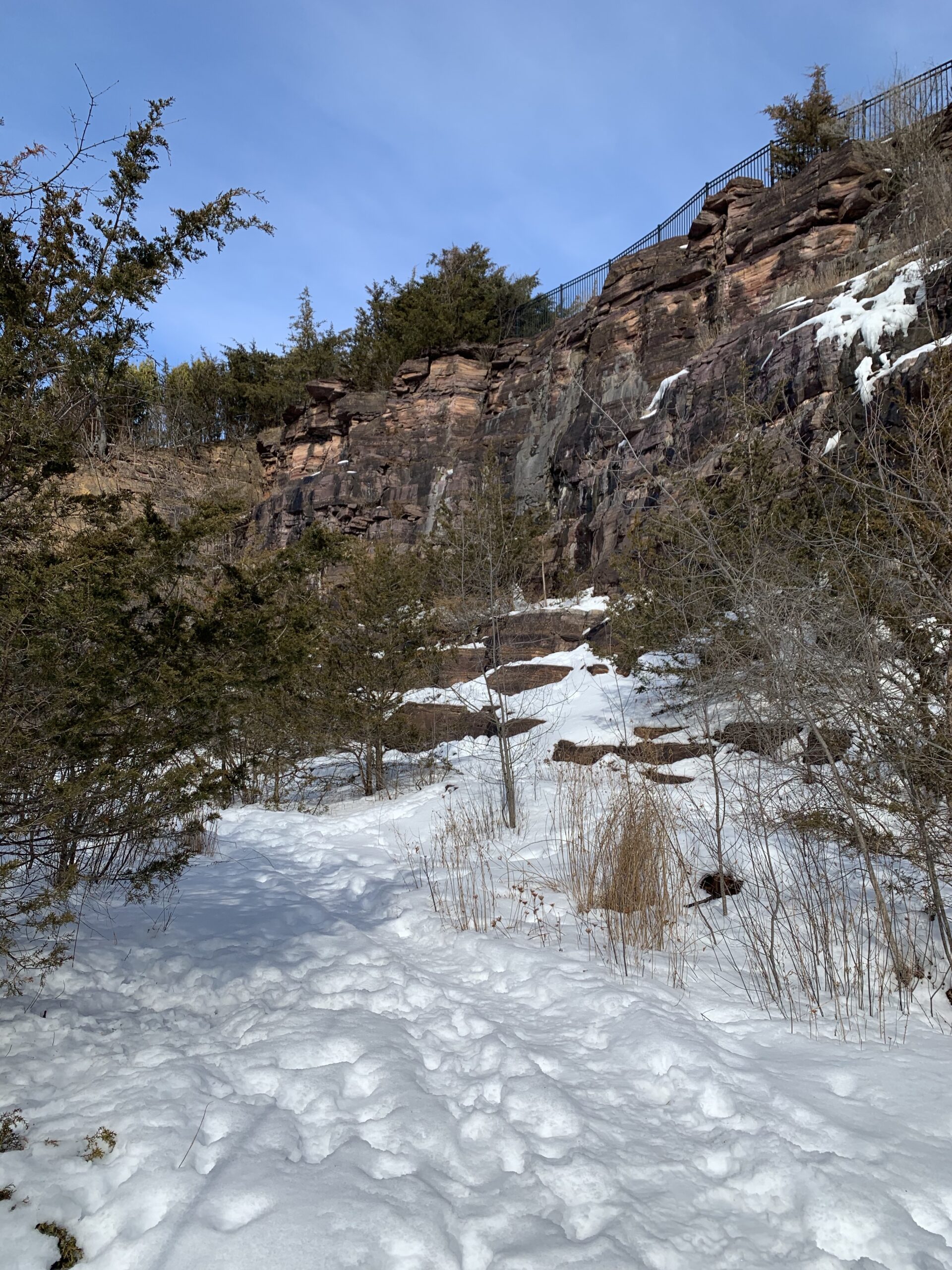 Redstone Quarry February Visit! « miranda's nr1 phenology blog