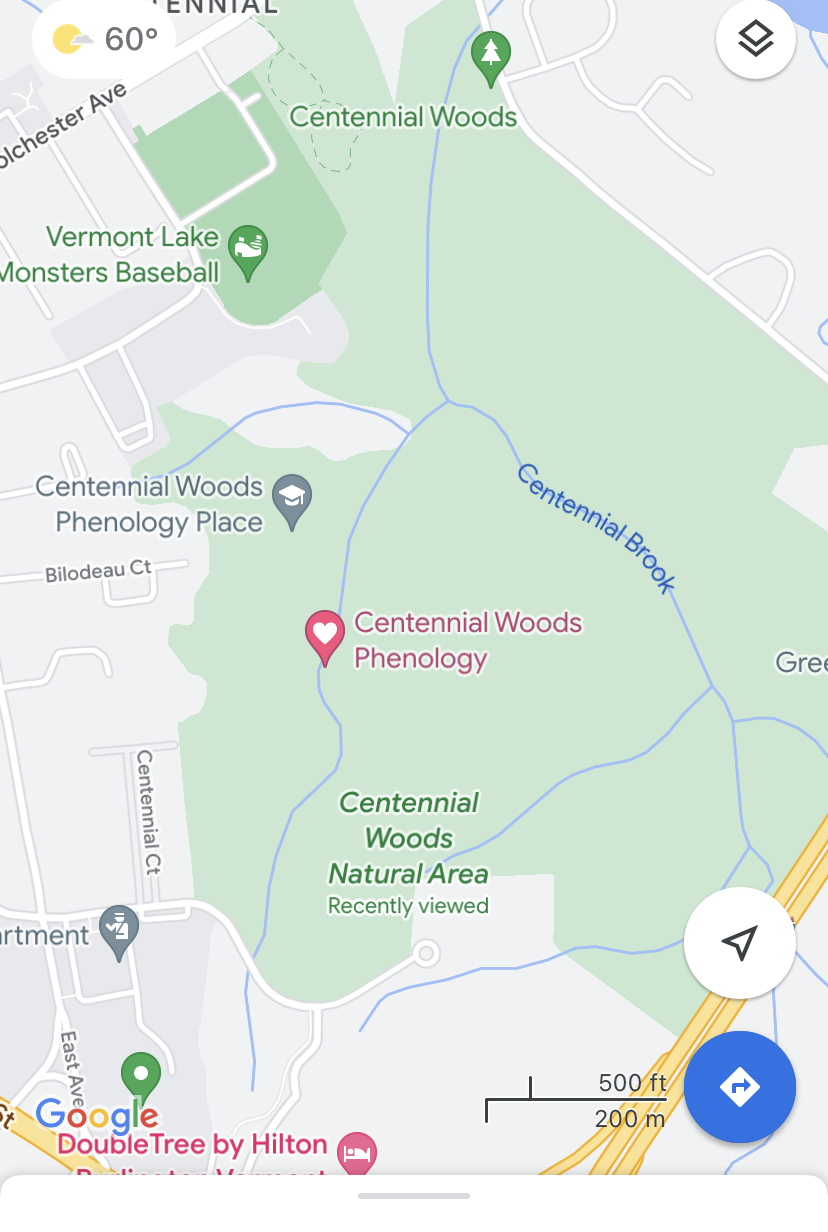 Centennial Woods Introduction!! | Centennial Woods Phenology Blog