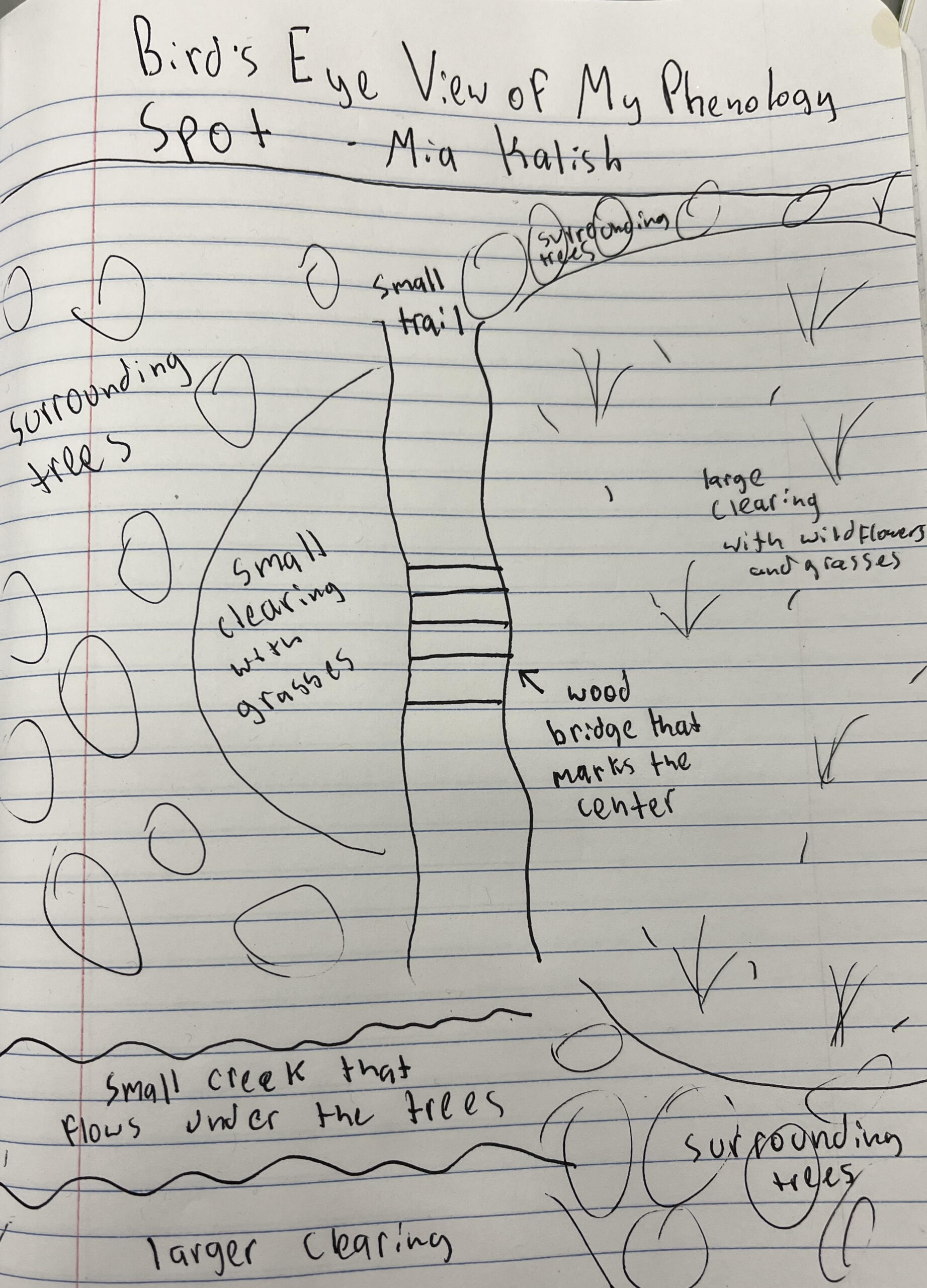 Nov 7 Entry – Place-Based Phenology Project in Centennial Woods