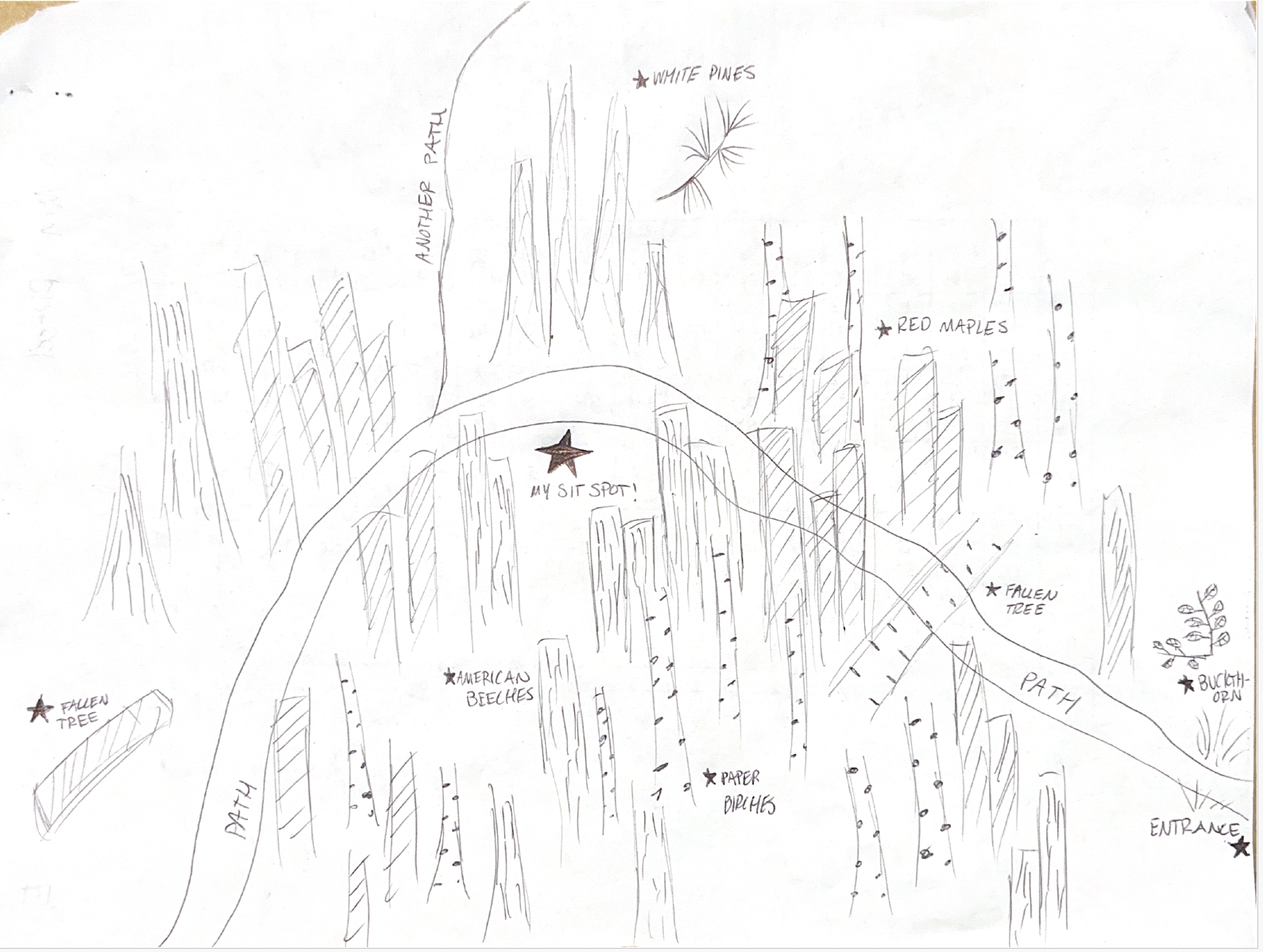 Changes in the Trinity Woods + A Map! – November 4th, 2024 | Trinity ...
