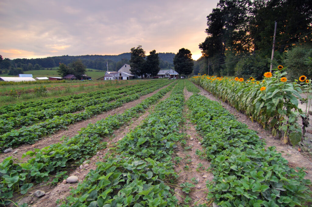 Classes | Beginning Farmer Resource Hub