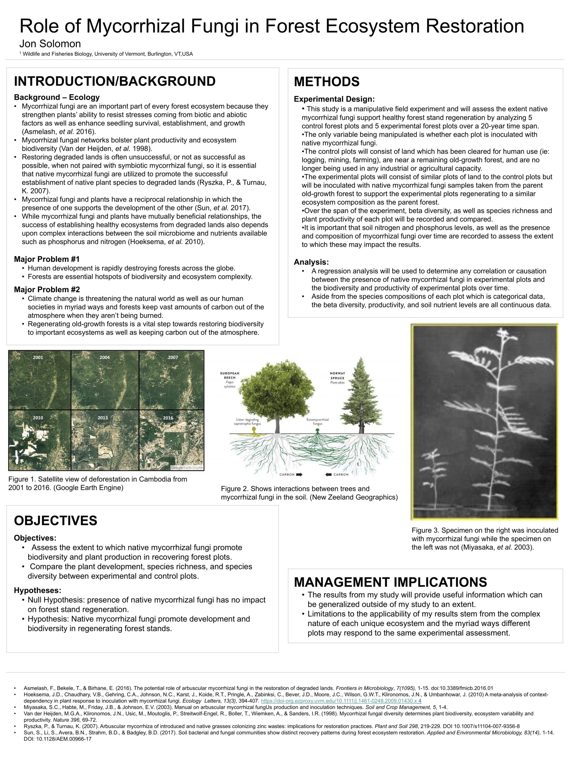 Role of Mycorrhizal Fungi in Forest Ecosystem Restoration – NR 103 ...