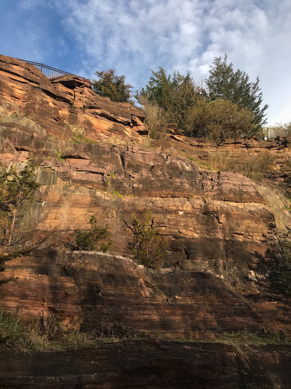 Phenology of Redstone Quarries – A UVM blog