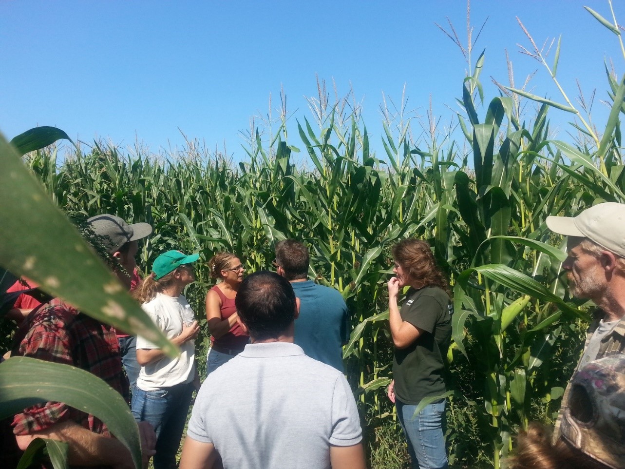 The results are in! 2021 Organic Corn Silage Variety Trial ...