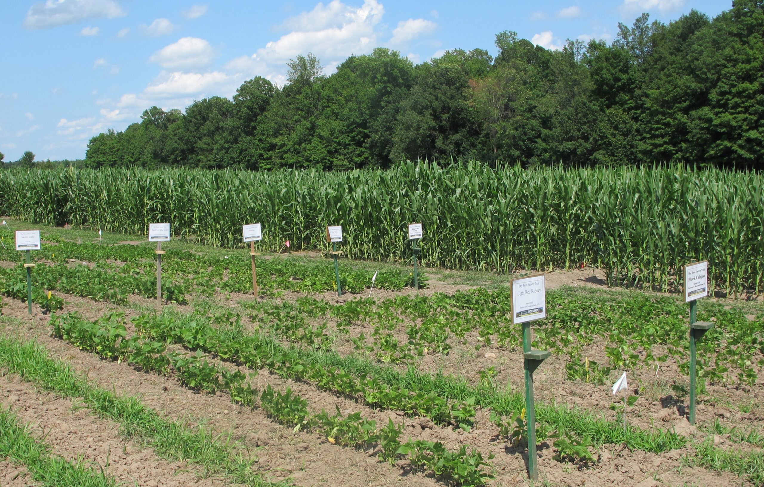 Our ANNUAL FIELD DAY is back! – Out Croppings: Important crop news from ...