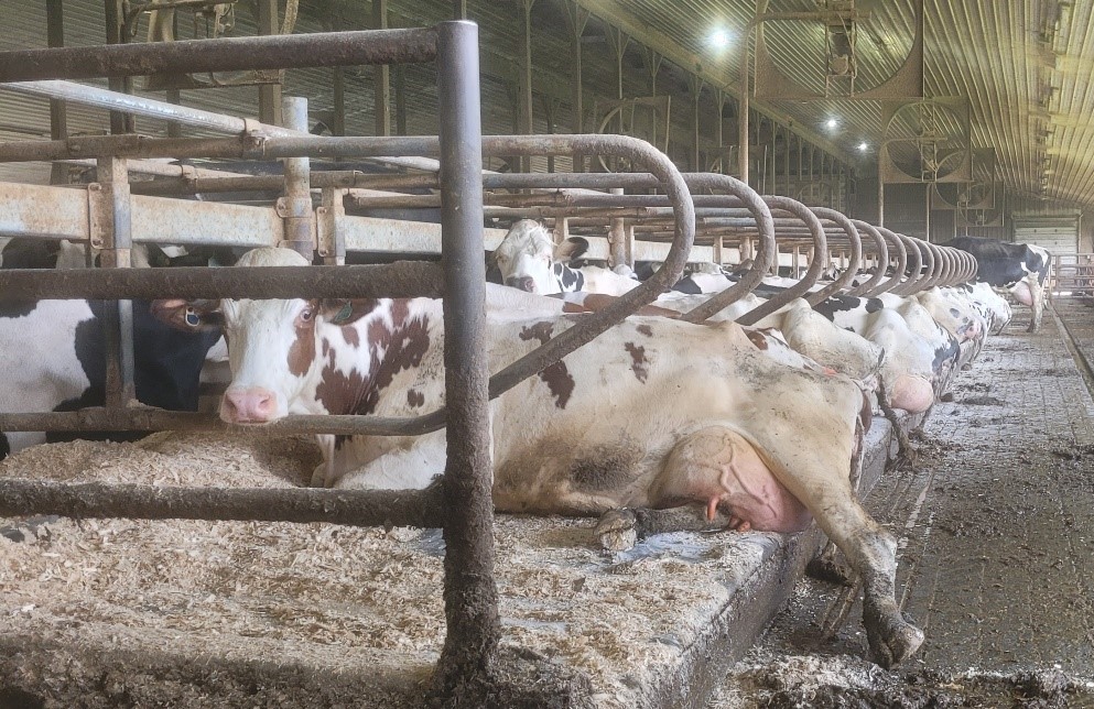 The NOVUS C.O.W.S. Program – A Tool for Making Progress – Outcroppings ...