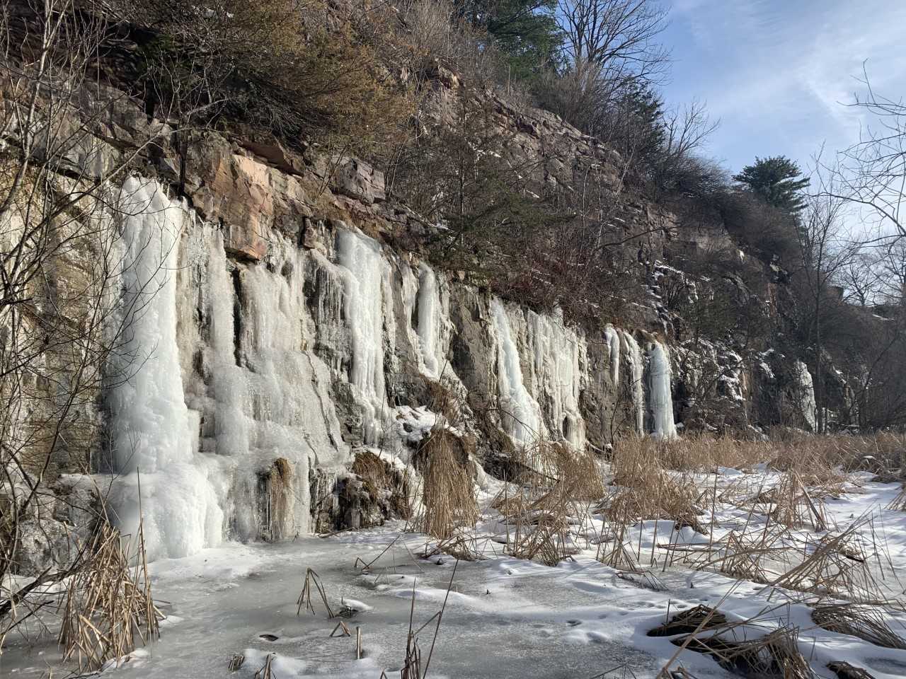 Redstone Quarry: Burlington, VT | Phenology Assignments