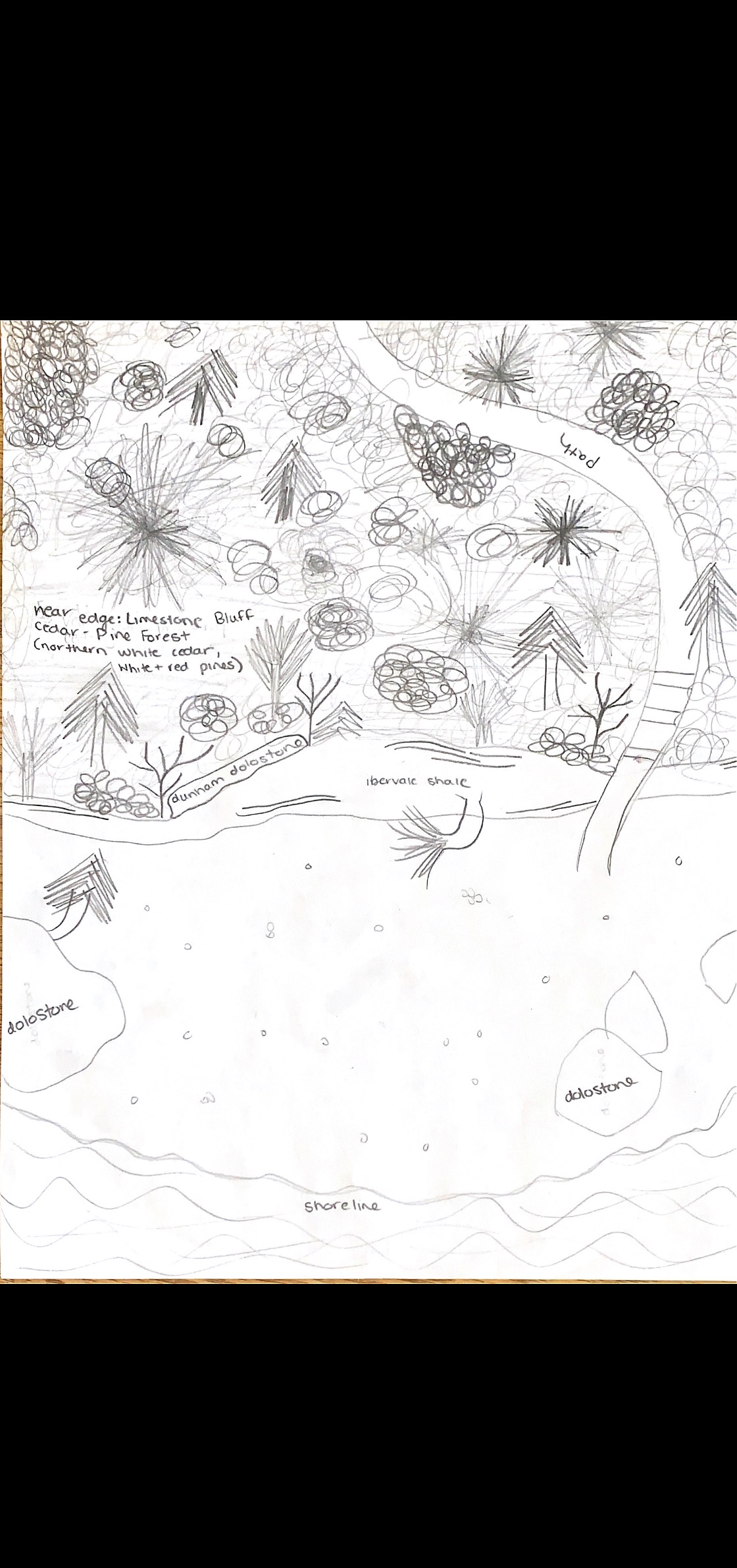 » Bird’s-Eye Map Rock Point