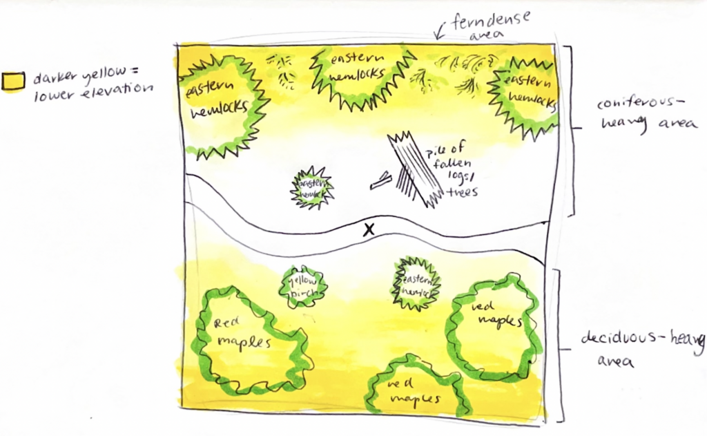 Place-Based Phenology Project – A UVM blog