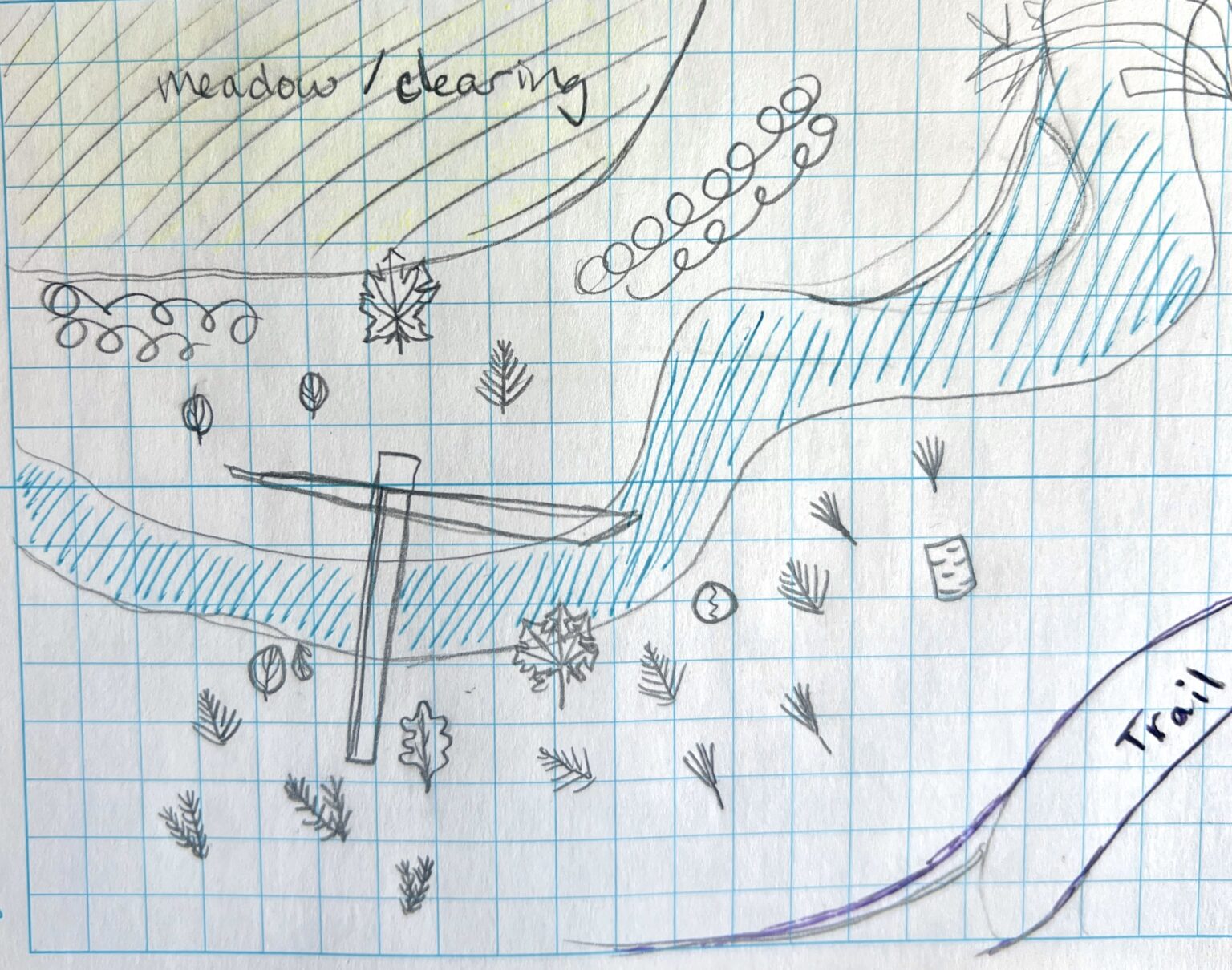 Centennial Brook Phenology Project – Phenology Project- NR1010