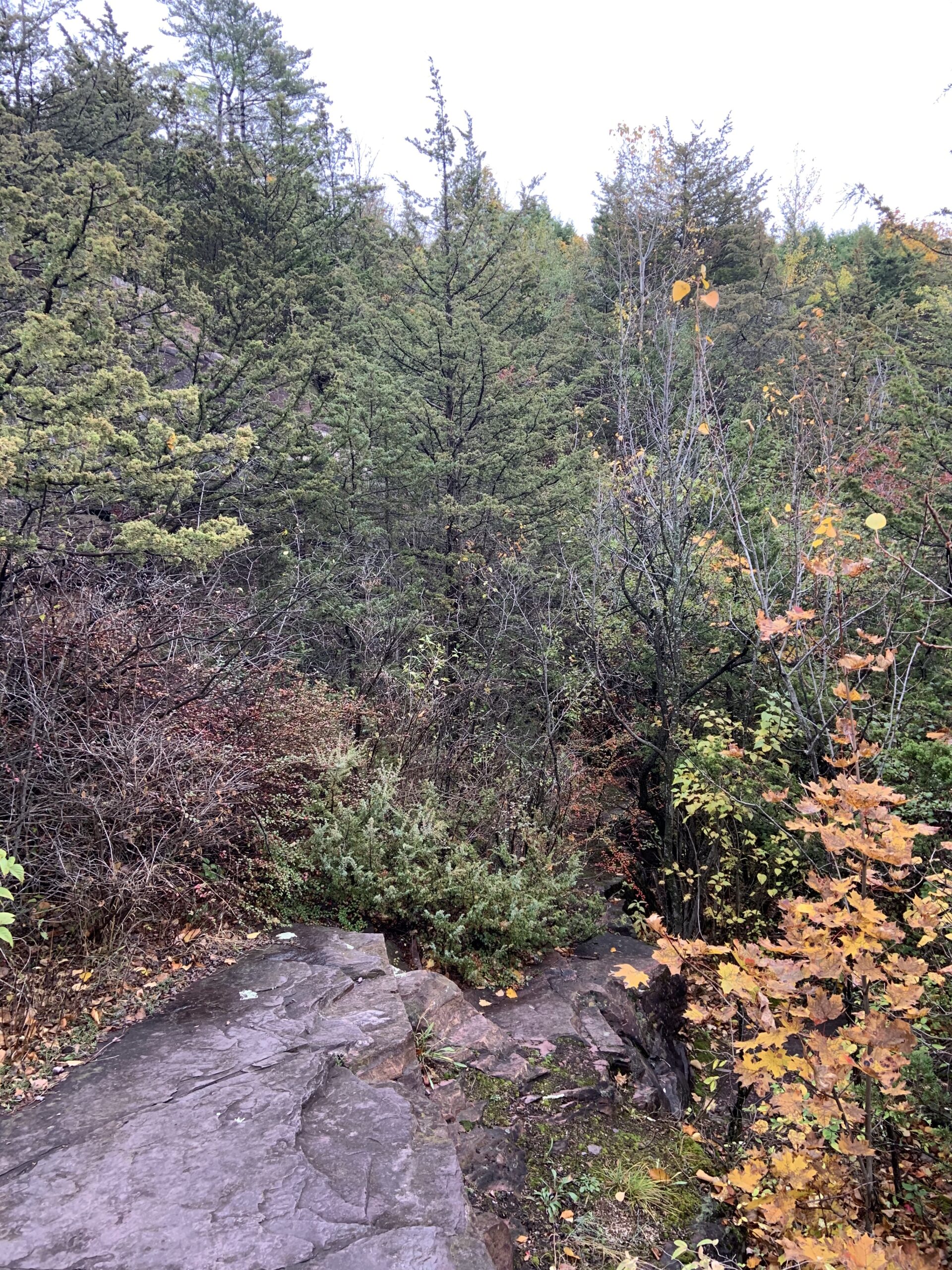 Redstone Quarry: Late October – Phenology Place: Redstone Quarry