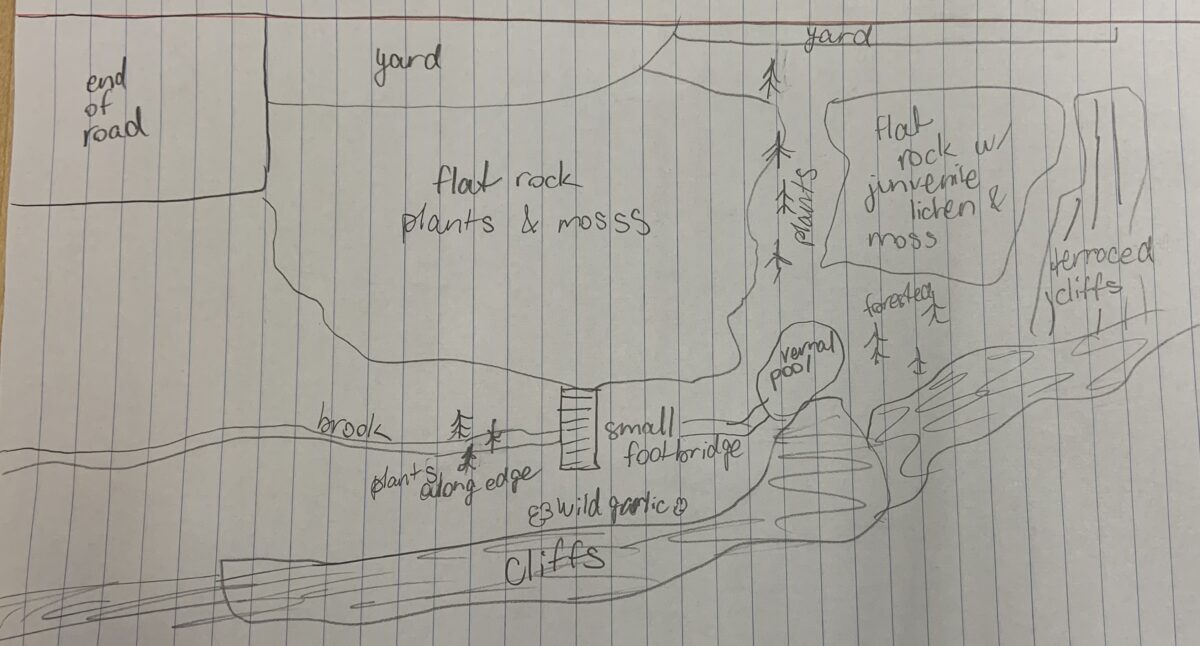 Redstone Quarry: Late October – Phenology Place: Redstone Quarry