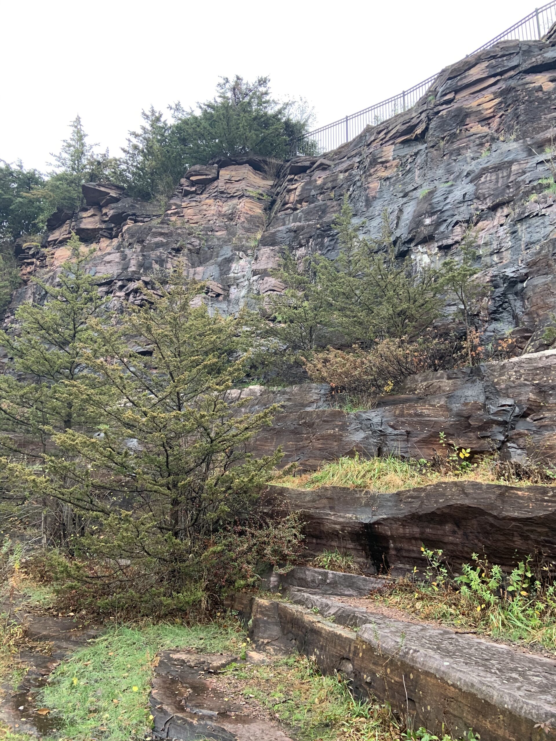 Redstone Quarry: Late October – Phenology Place: Redstone Quarry
