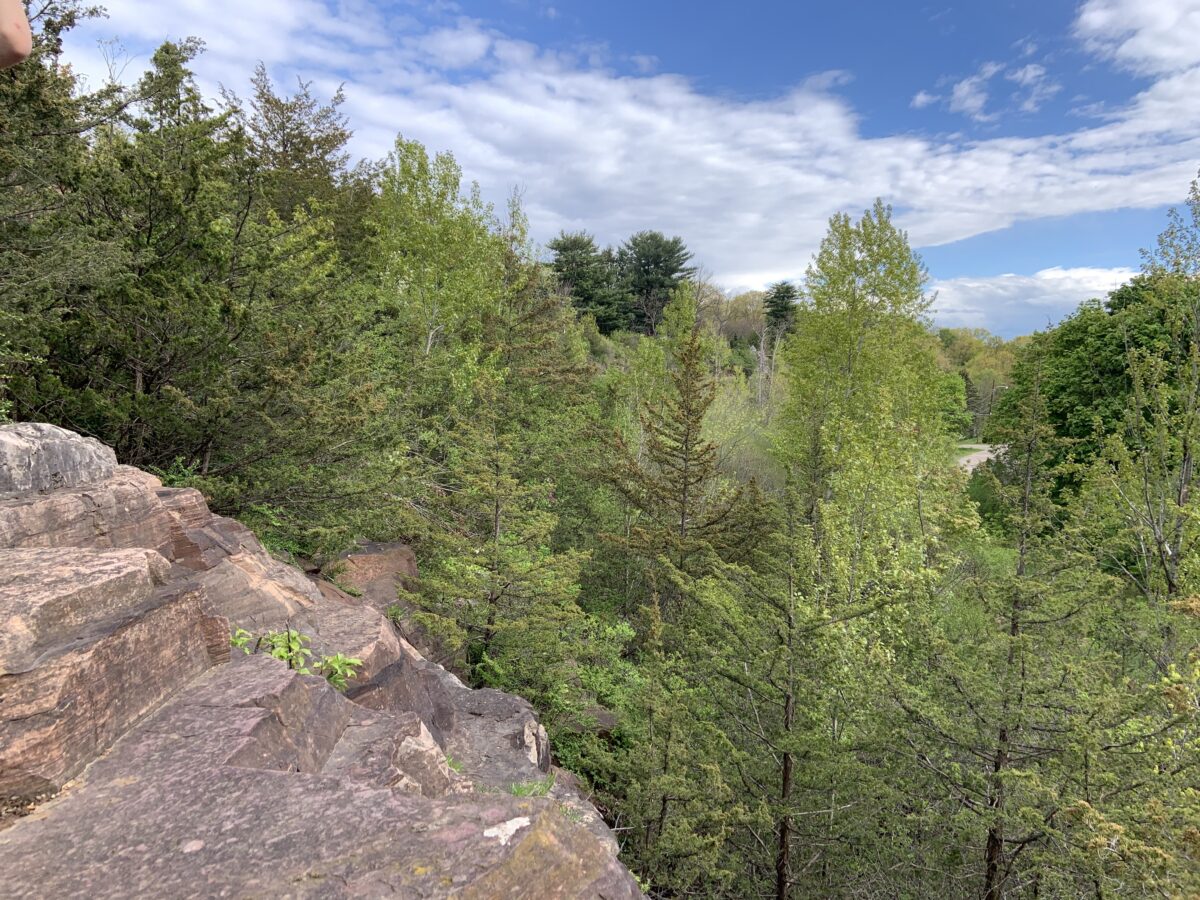 Phenology Place: Redstone Quarry – A UVM blog