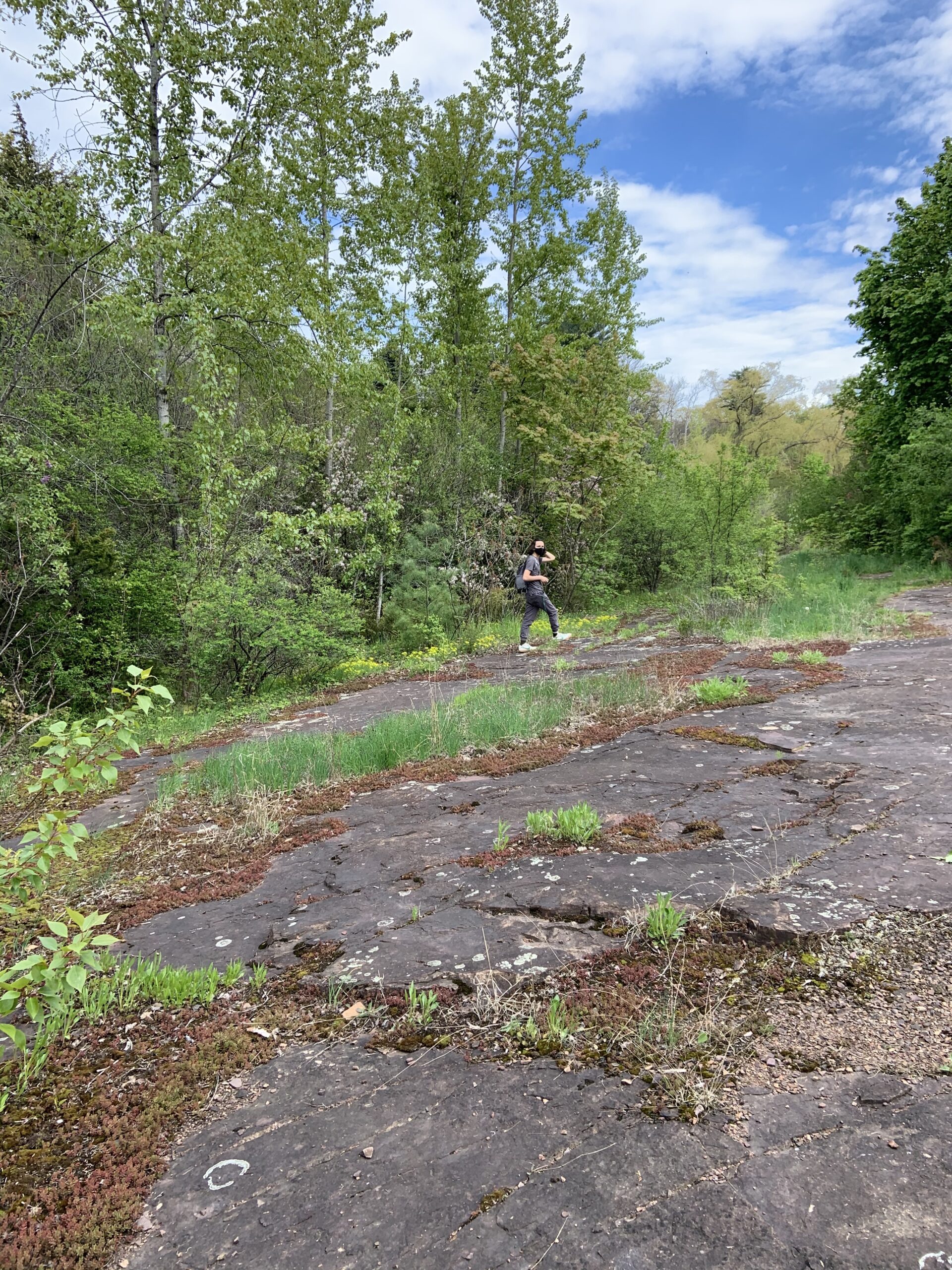 Phenology Place: Redstone Quarry – A UVM blog
