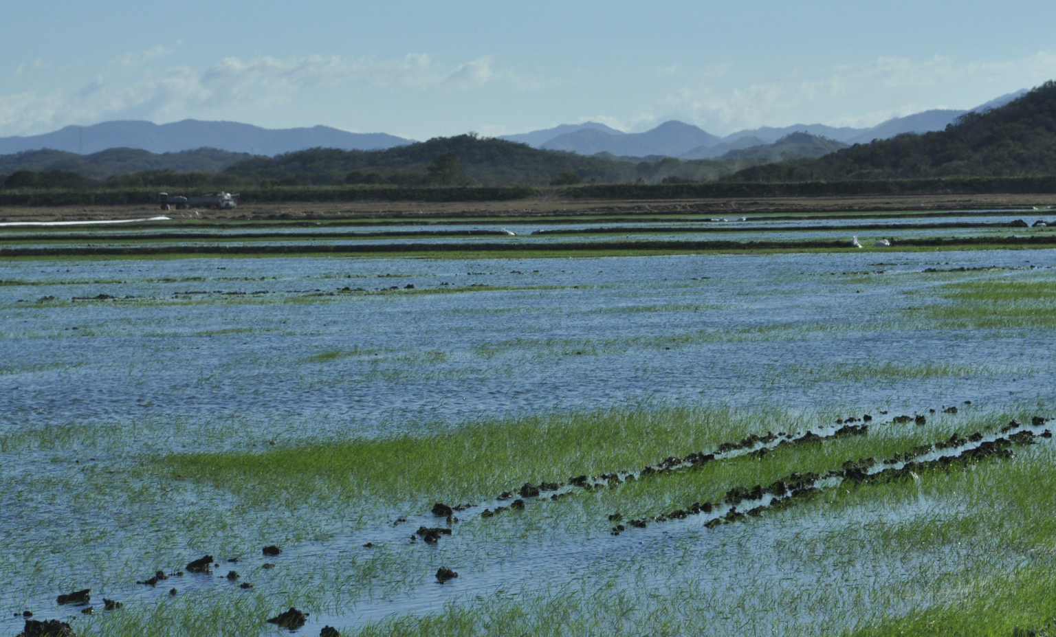 Products of the Osa Peninsula – Lessons from the Osa