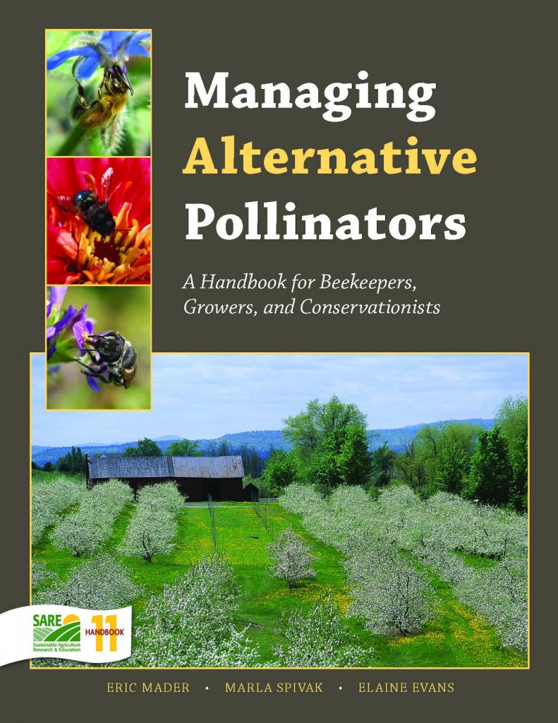 Buzzing about Bees: Pollinator Book Tops Summer Reading List | Women's ...